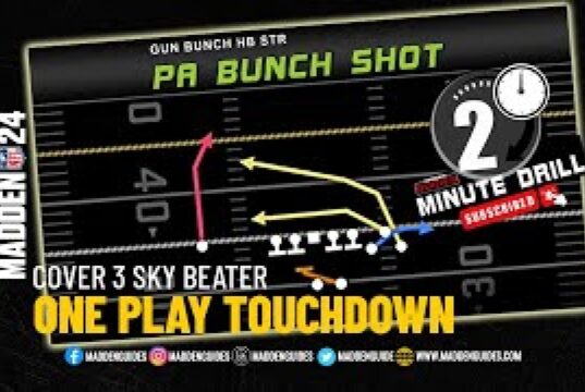 Madden Playbooks - Madden Guides